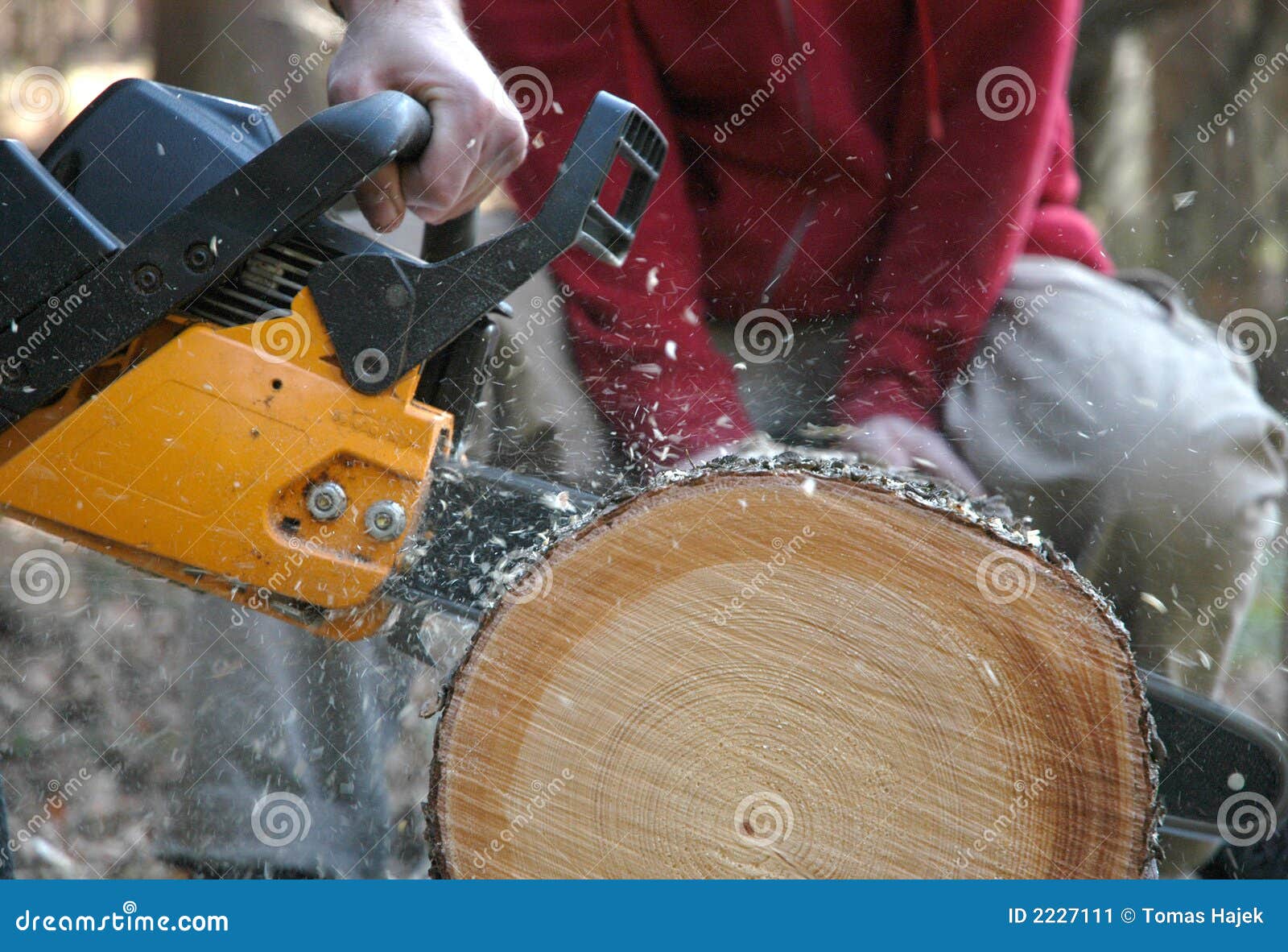 Het Werken Met Kettingzaag Picture. Image: 2227111