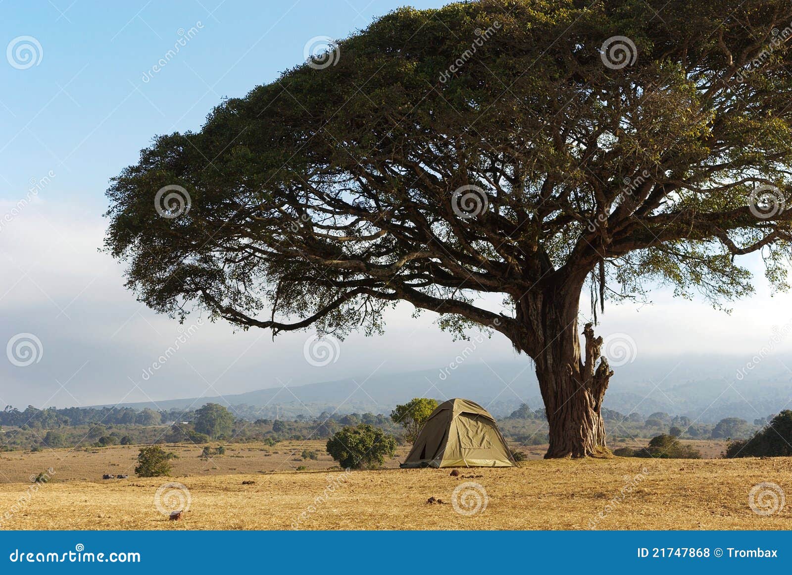 Het Wilde Kamperen in Savanne Stock Foto - Image of gebied ...