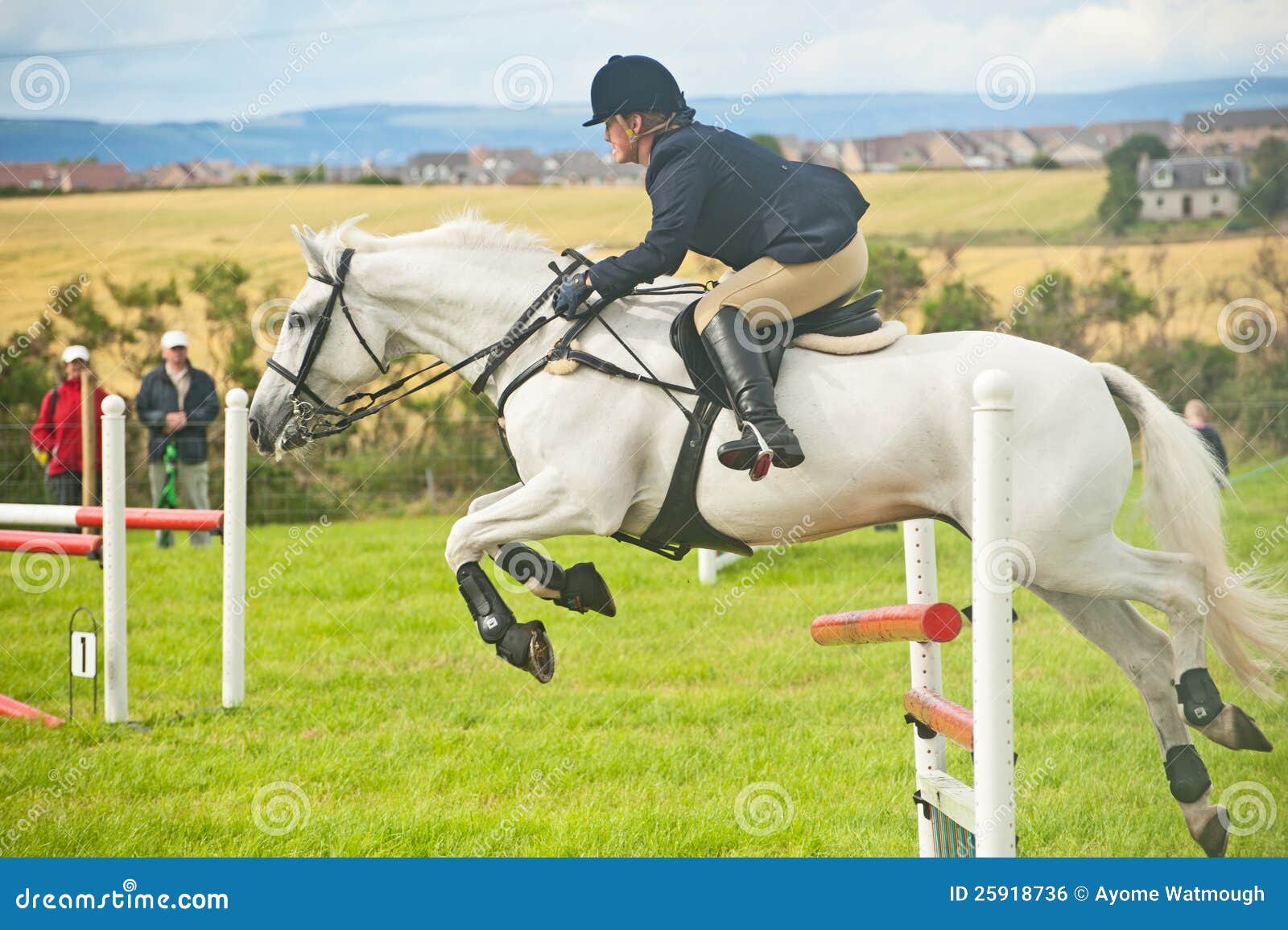 Het Witte Paard Dat in Nairn Springt Toont Redactionele Foto - Image of ...