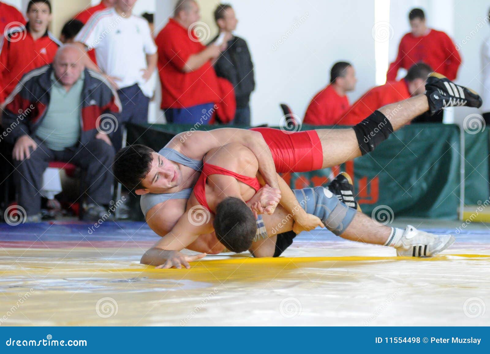 Het Worstelen Teamchamionship Redactionele Stock Foto - Image of ...