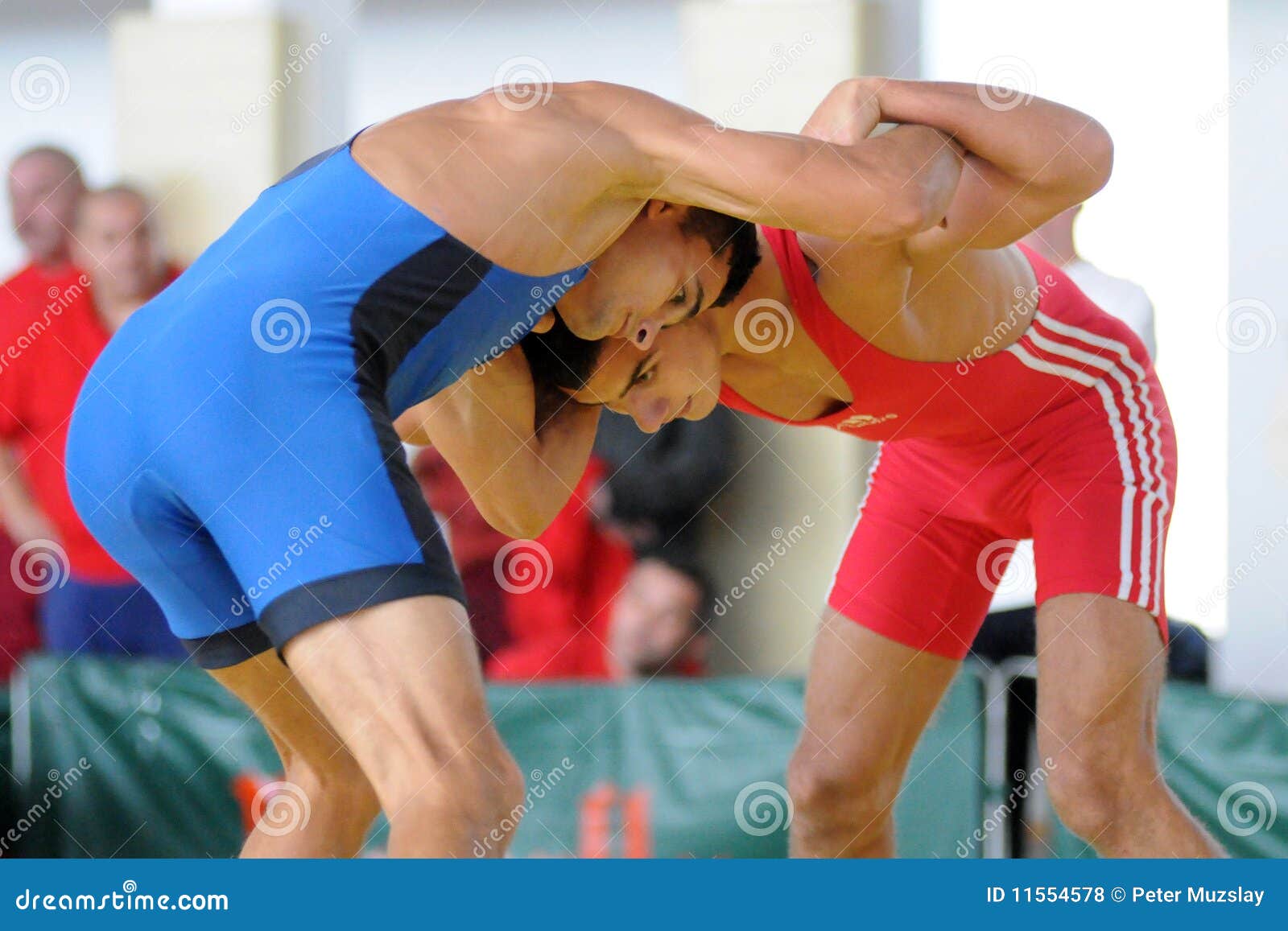 Het Worstelen Teamkampioenschap Redactionele Stock Foto - Image of ...