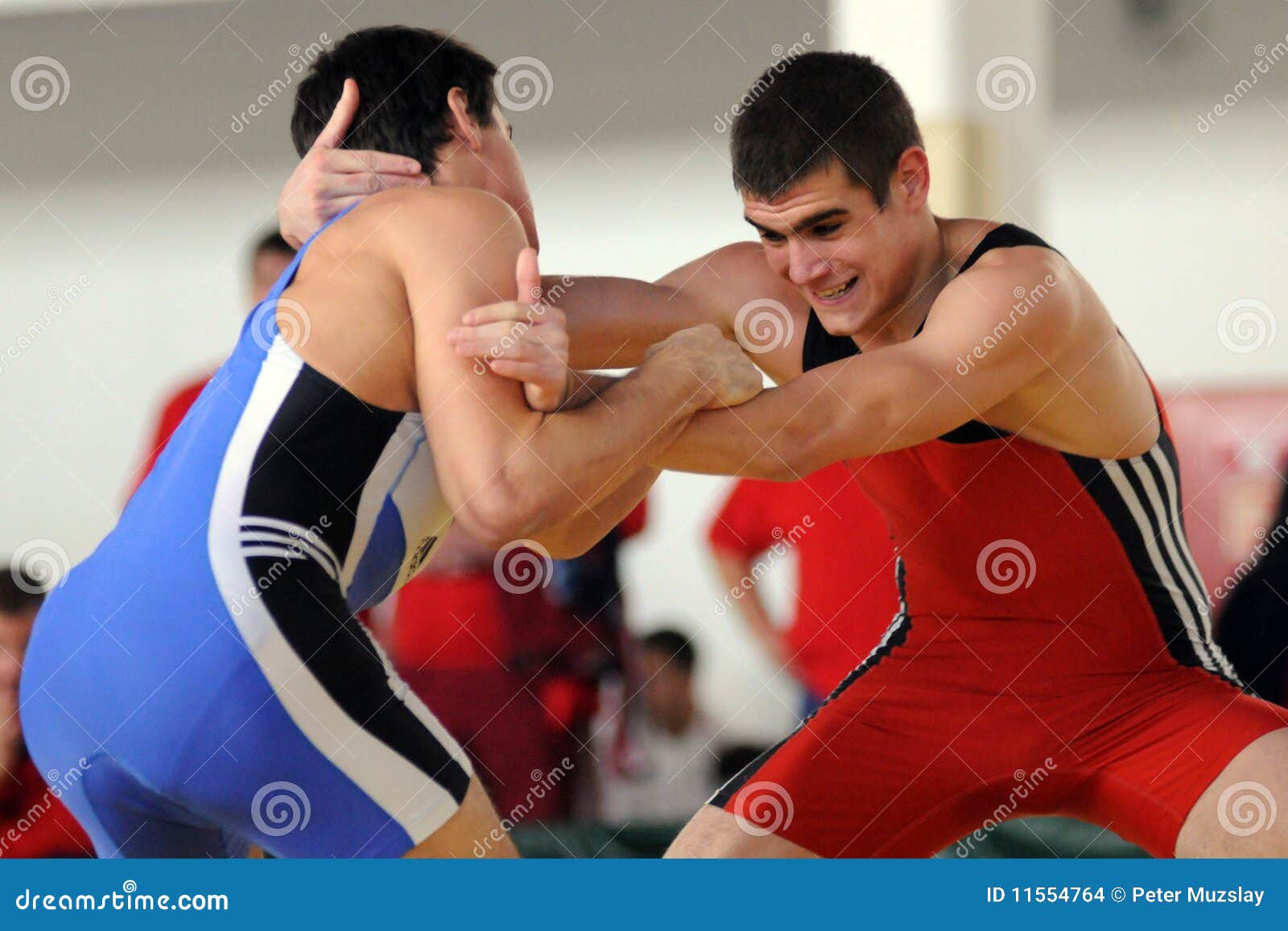 Het Worstelen Teamkampioenschap Redactionele Stock Afbeelding - Image ...