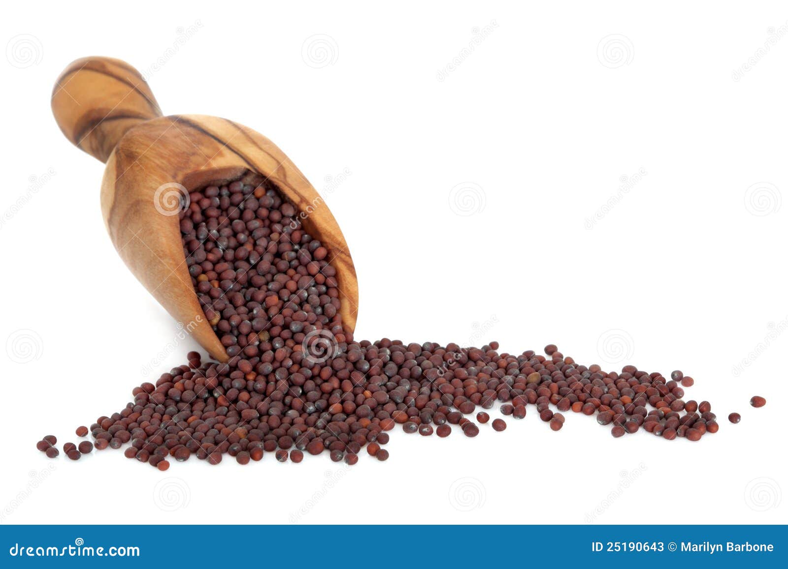 Het Zaad Van De Bruine Mosterd Stock Afbeelding - Image of keukengerei ...