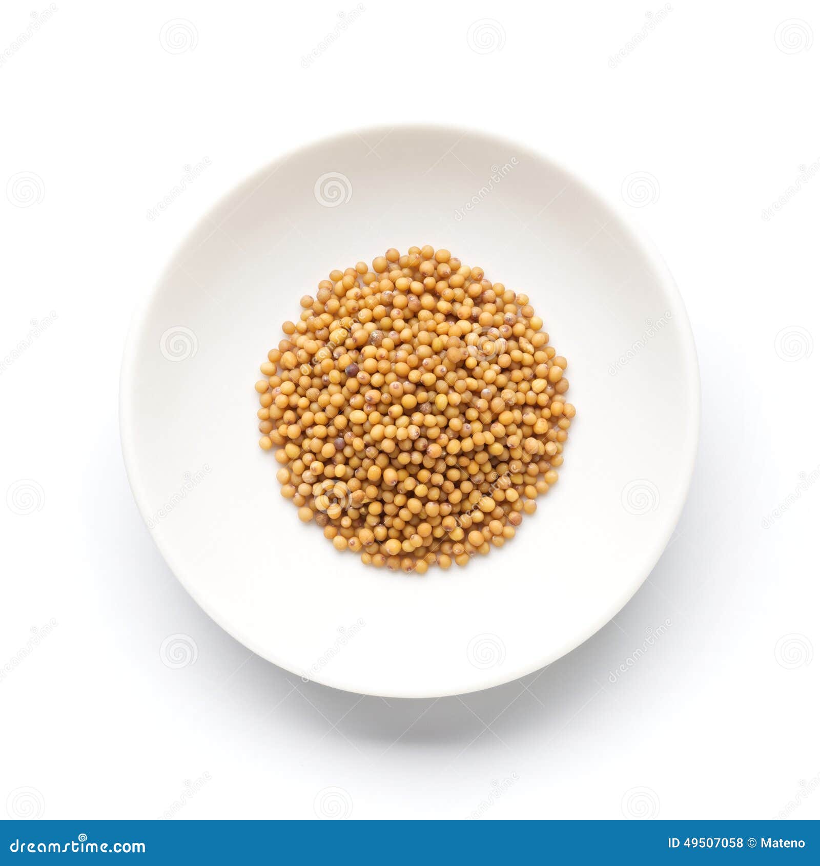 Het zaad van de mosterd stock foto. Image of specerij - 49507058