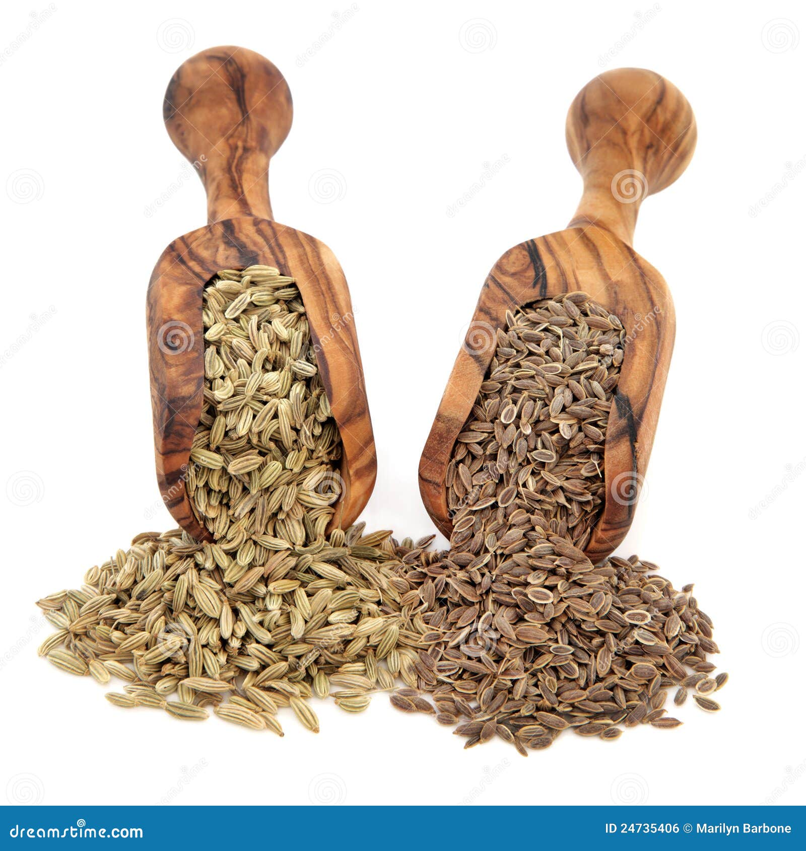 Het Zaad Van De Venkel En Van De Dille Stock Foto - Image of werktuig ...