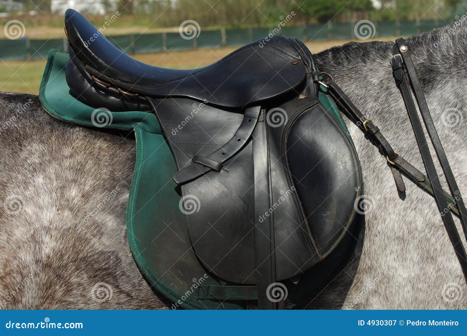 Het Zadel van het paard stock afbeelding. Image of cavalerie - 4930307