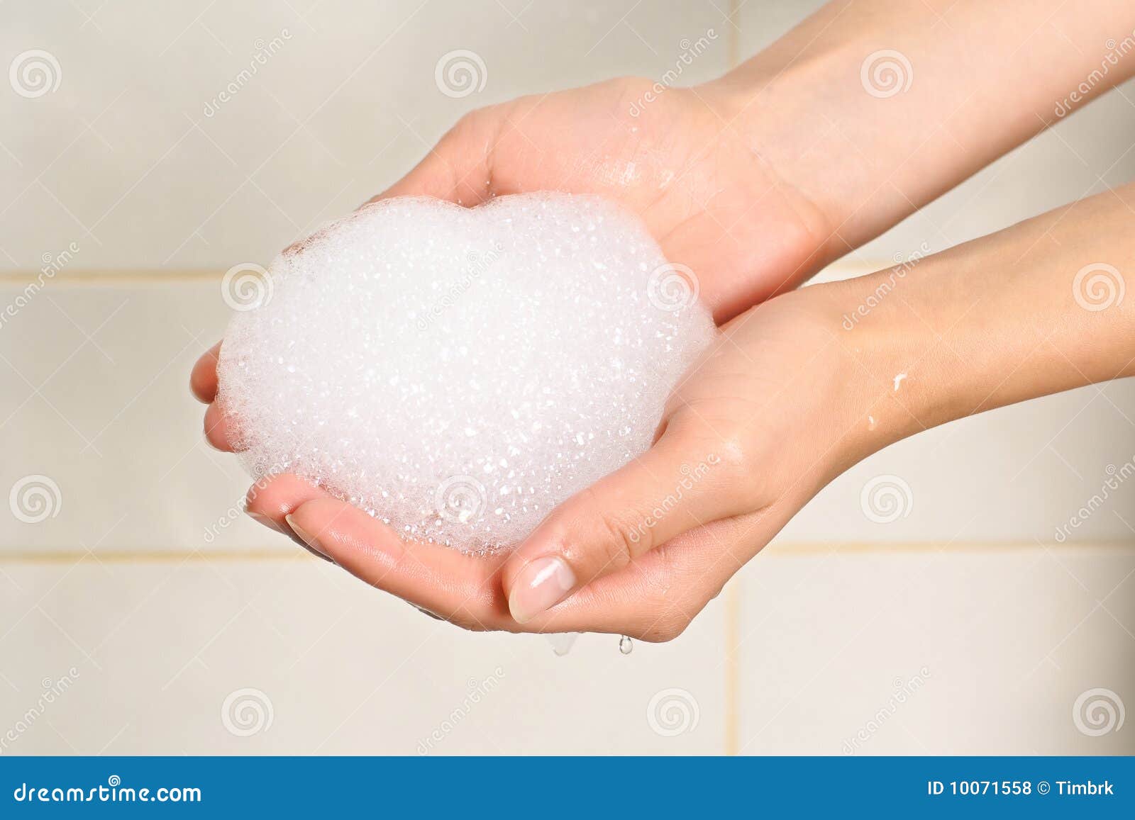 Het Zeepsop Van De Zeep in Palmen Stock Foto - Image of handvol, schuim ...