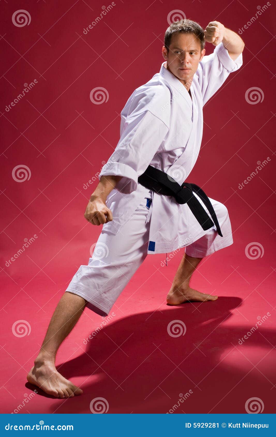 Het Zwarte Band Van De Karate Stock Afbeelding - Image of vechter ...