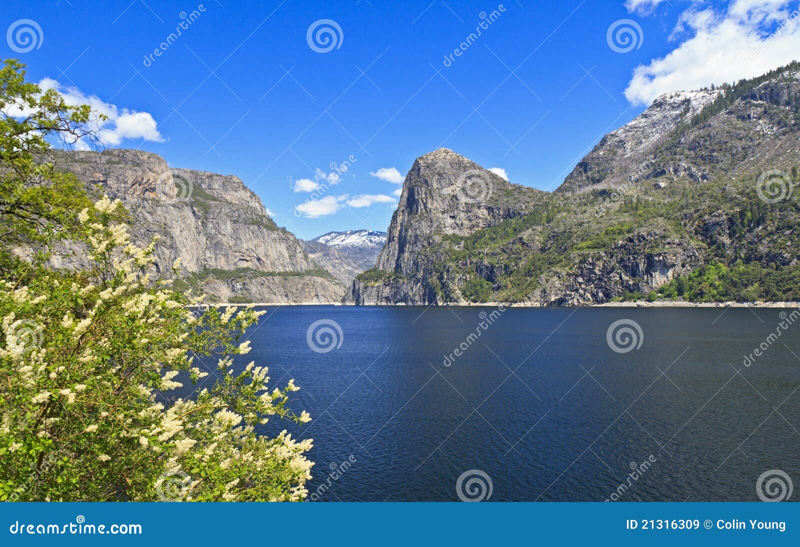 Hetchy Hetchy Spring stock image. Image of nevada, sierra - 21316309