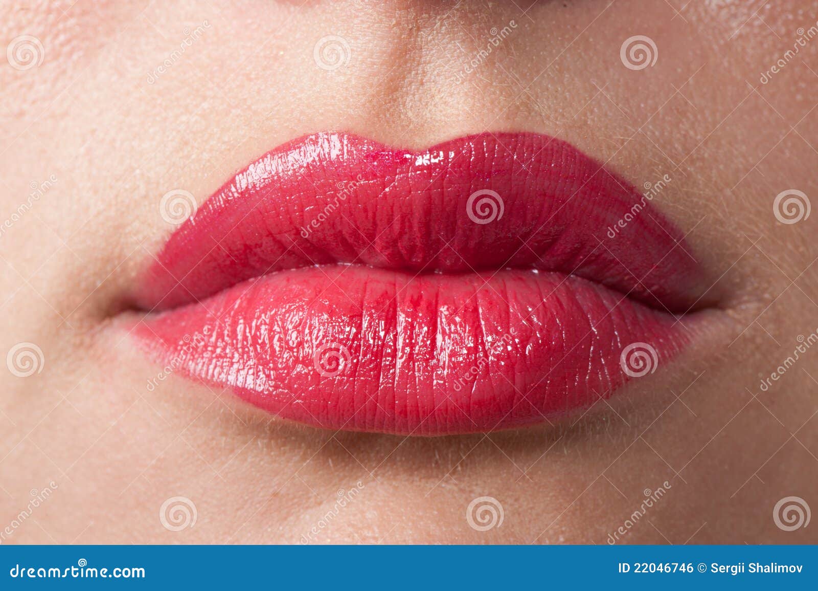 Hete kus stock foto. Image of mooi, portret, kaukasisch - 22046746