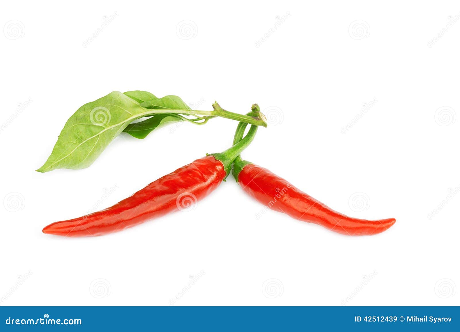 Hete Rode Spaanse Peper of Spaanse Peperspeper Stock Afbeelding - Image ...