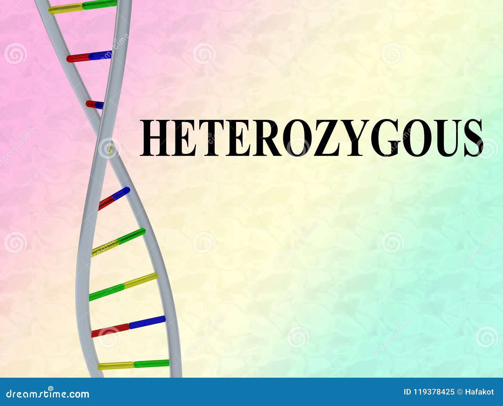 HETEROZYGOUS - Genetic Concept Stock Illustration - Illustration of ...