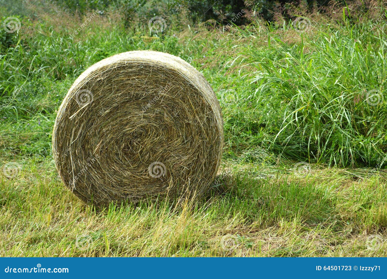 Heu-Ballen auf dem Gebiet stockbild. Bild von land, gelb - 64501723