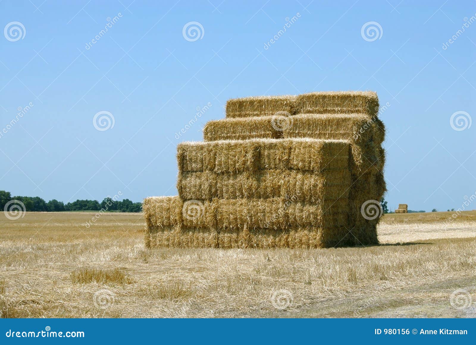 Heu-Ballen-Stapel stockfoto. Bild von hütte, gras, landwirtschaftlich ...