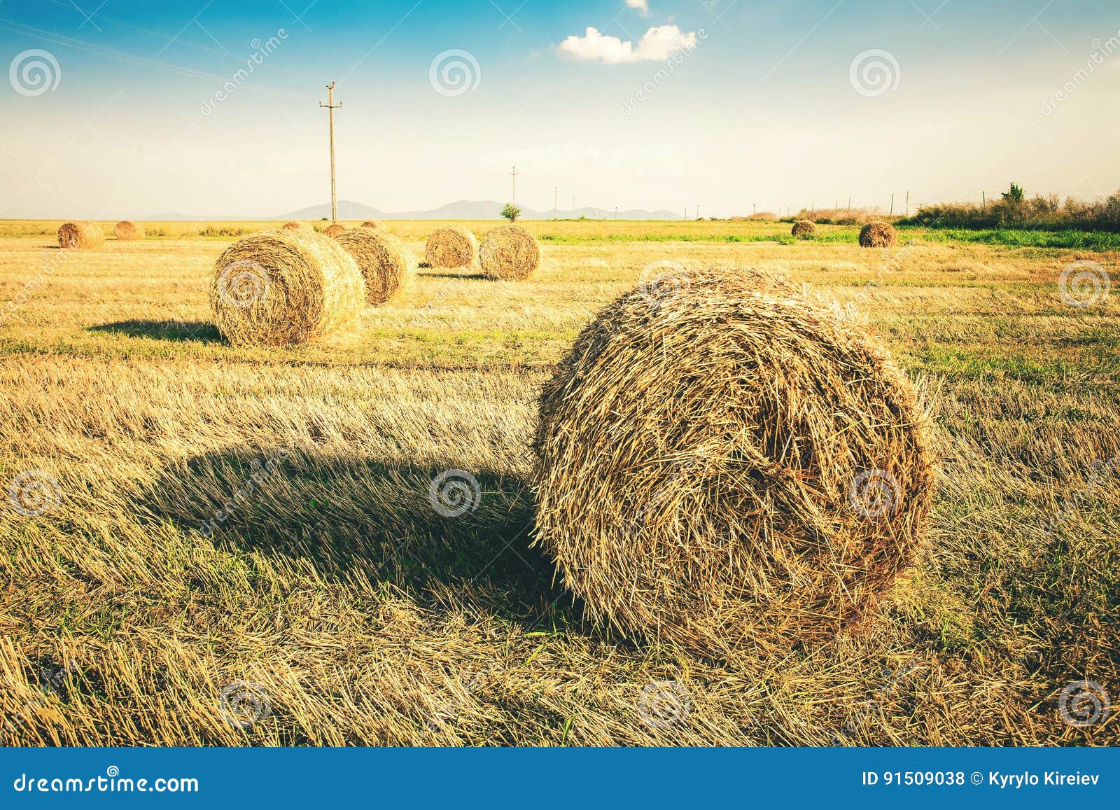 Heu in Den Stapeln Auf Dem Feld Stockfoto - Bild von ernten, region ...