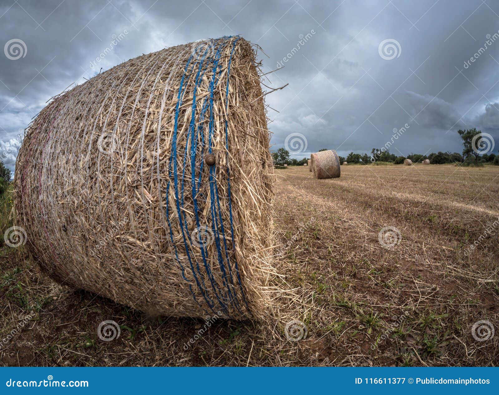 Heufeld-Strohlandwirtschaft Bild. Bild: 116611377