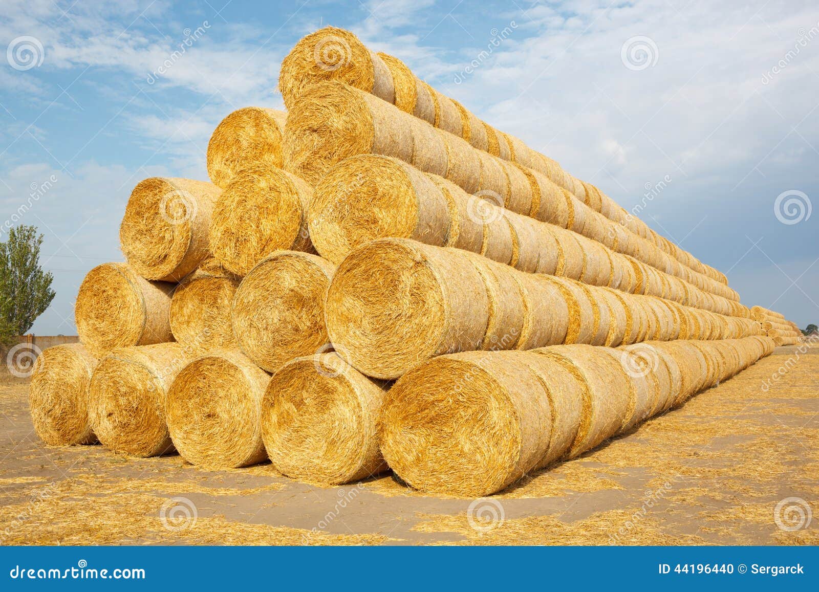 Heuballen Auf Dem Feld Nach Ernte Stockfoto - Bild von ackerbau ...