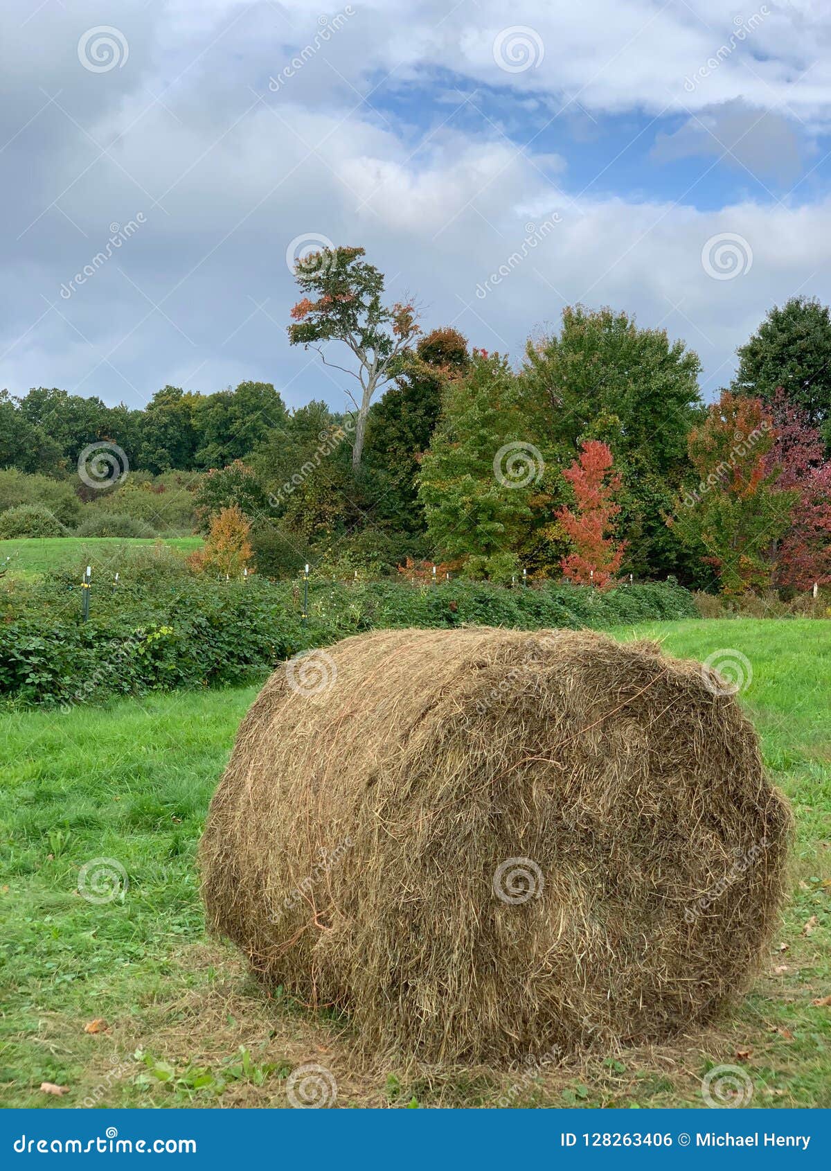 Heuballen Mit Einem Fallhintergrund Stockfoto - Bild von äpfel, feld ...