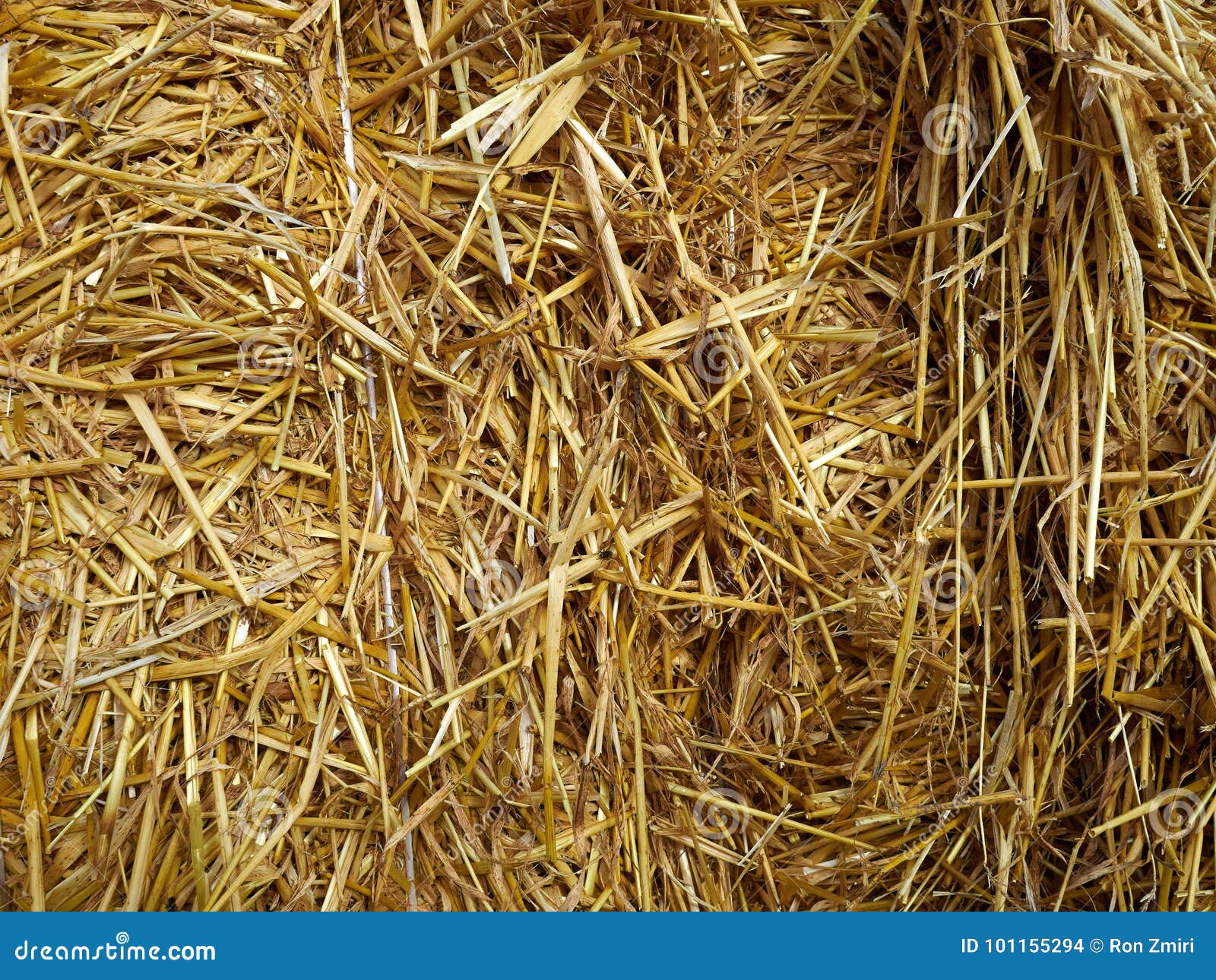 Heuballen-Stapel-Kornernte Auf Einem Gebiet Stockfoto - Bild von ...