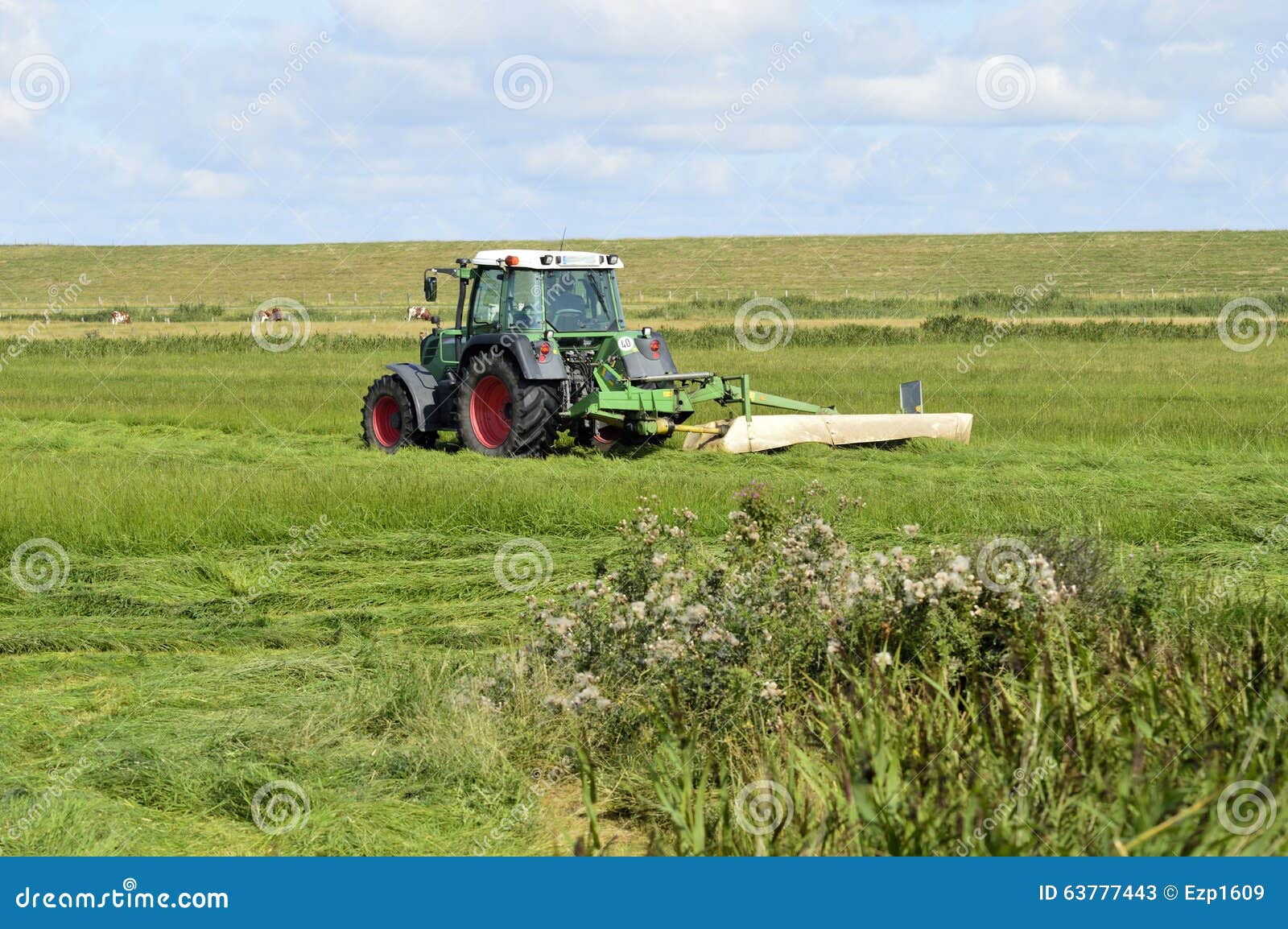 Heuernte stockbild. Bild von arbeit, wiese, dorf, weide - 63777443