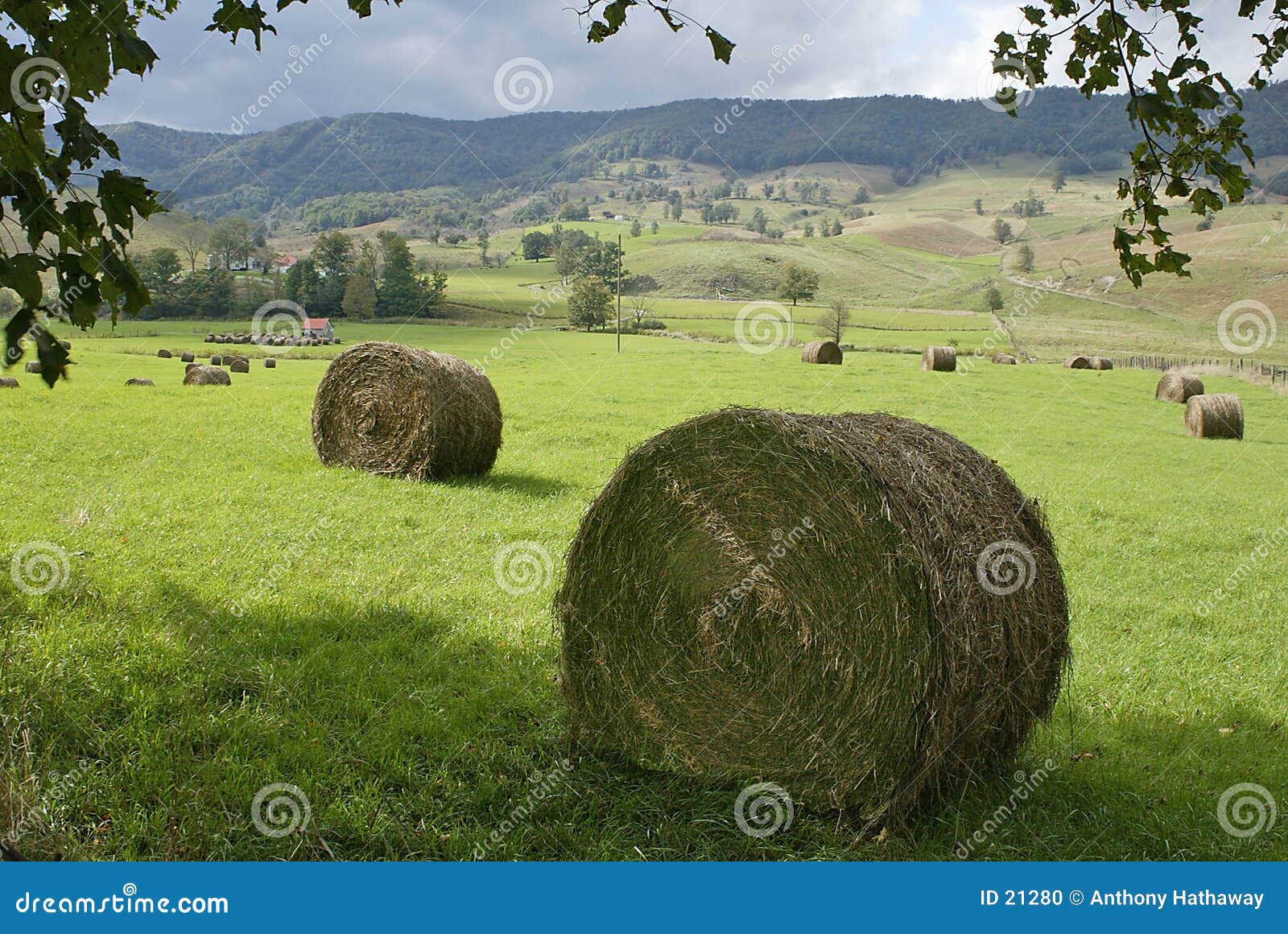 Heufeld stockfoto. Bild von ballen, hügel, bauernhof, virginia - 21280