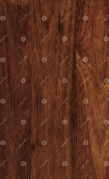 Hevea wood texture stock photo. Image of veneer, plank - 22453570