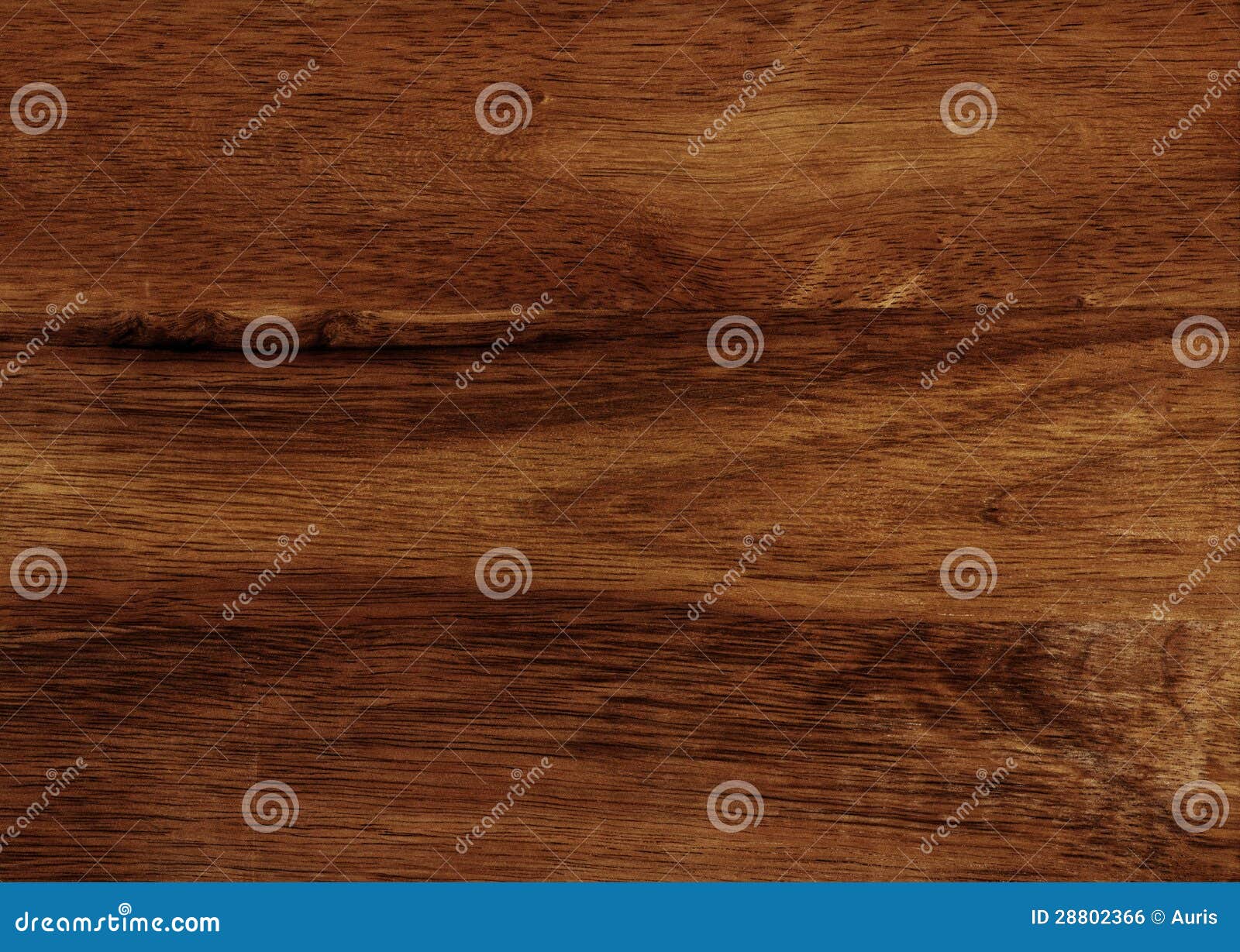 Hevea Wood Texture Stock Photography | CartoonDealer.com #24924608