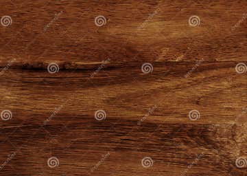 Hevea wood texture stock photo. Image of veneer, parquet - 28802366