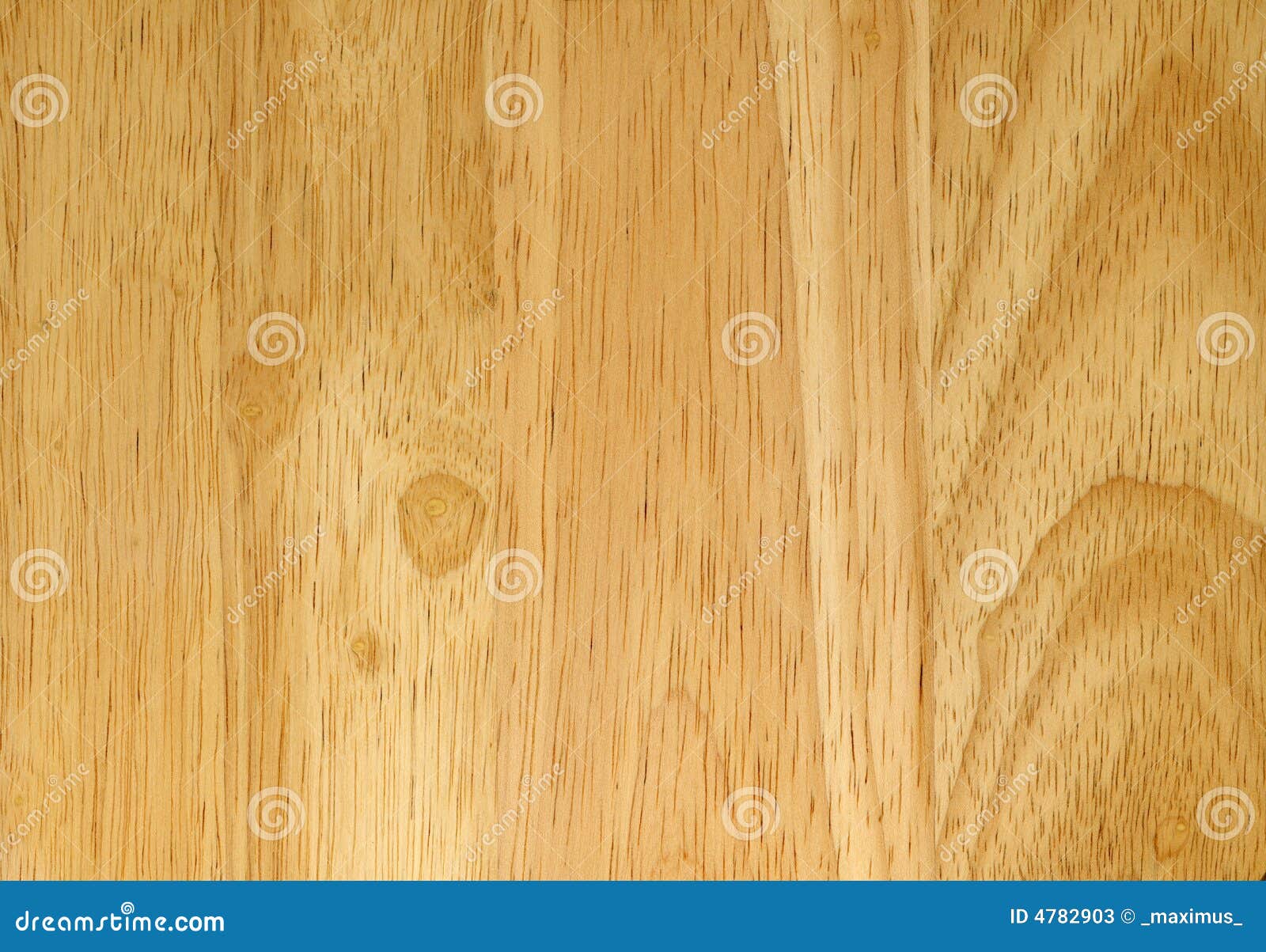 Hevea Wood Texture Stock Photography | CartoonDealer.com #24924608