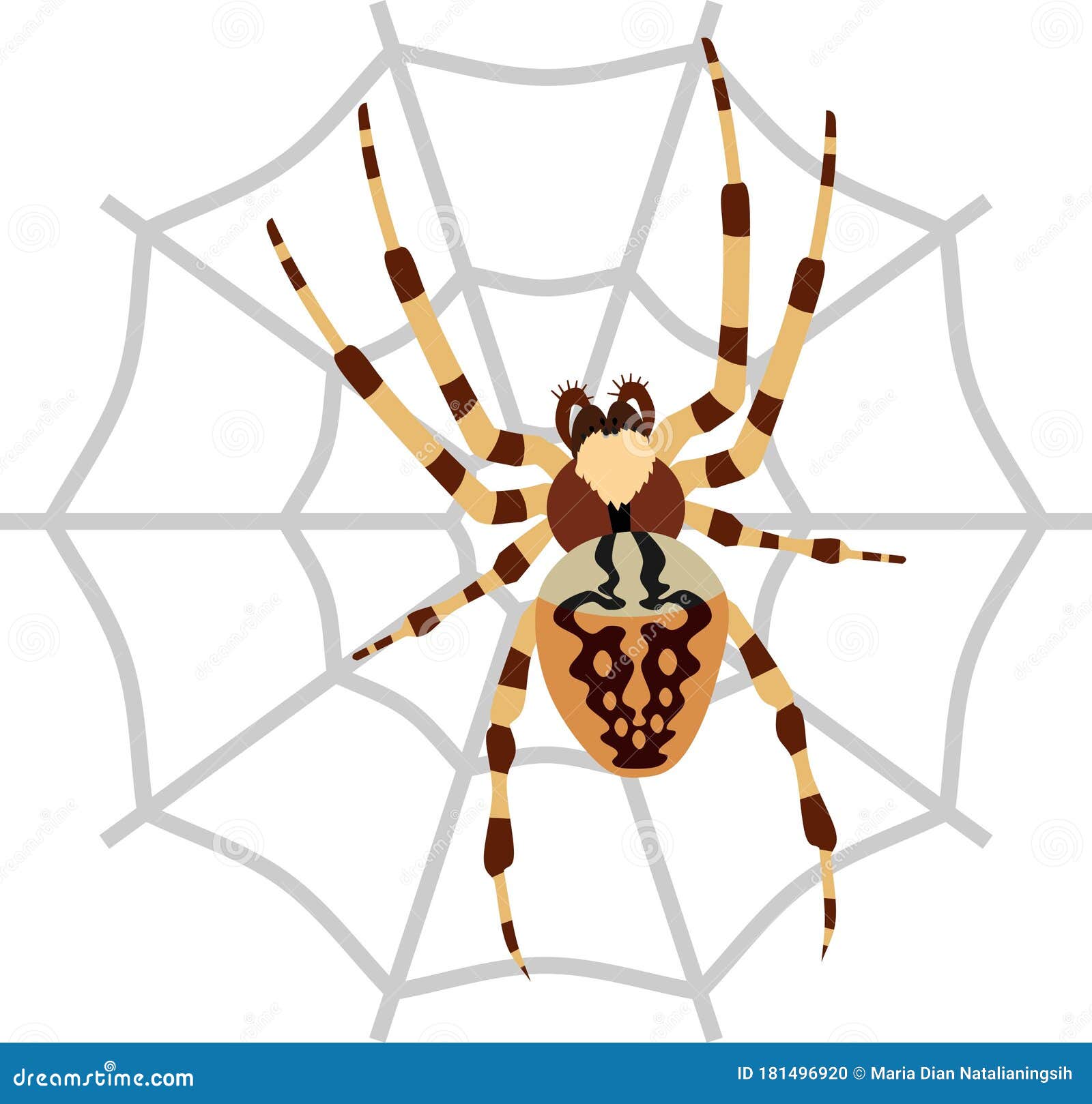 Spider and Web Insect Animal Stock Vector - Illustration of animal ...