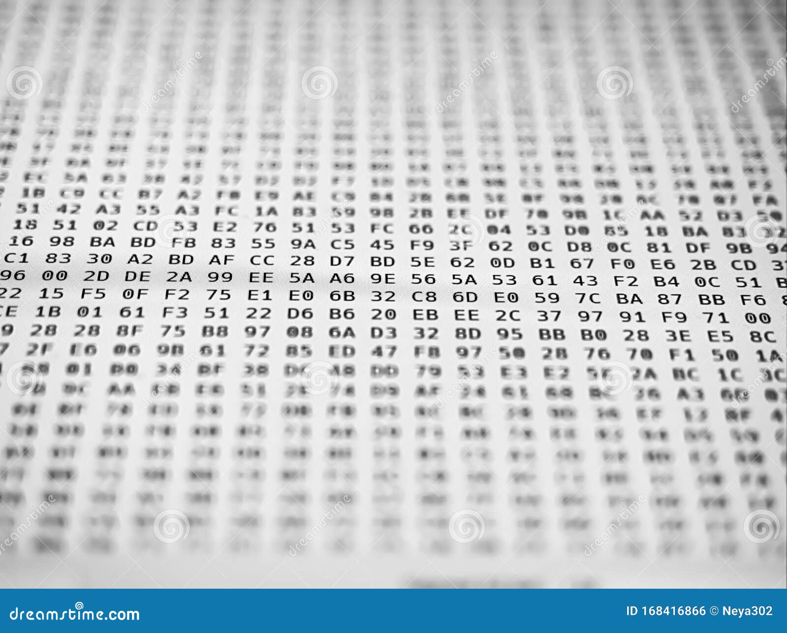 Hex Code On Computer Screen Closeup Random Hexadecimal Code Stream