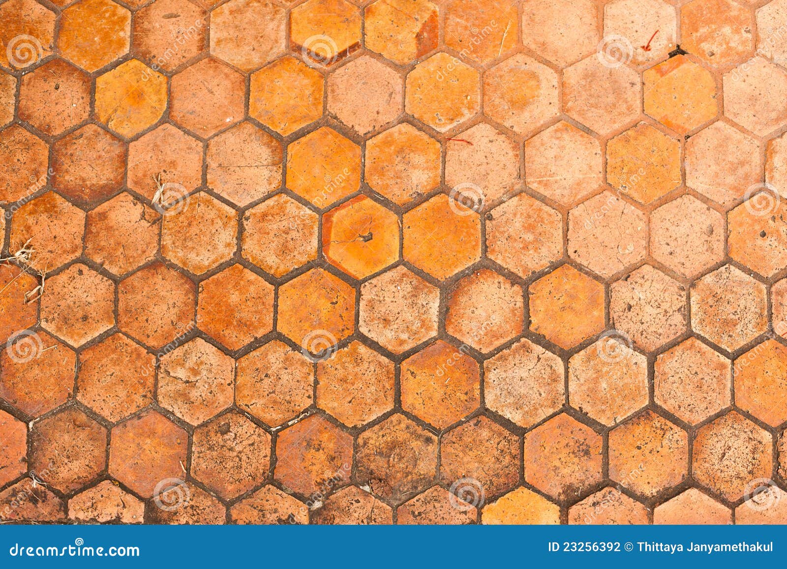 Hexagon paved pathway stock photo. Image of indoor, orange - 23256392