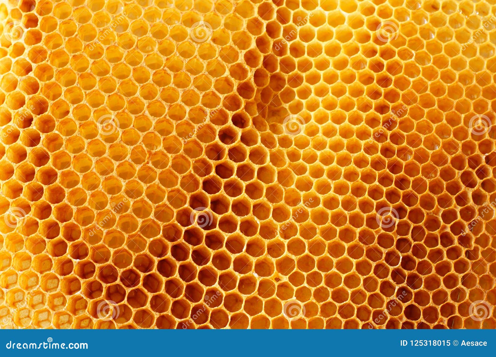 Honeycomb Honeycomb