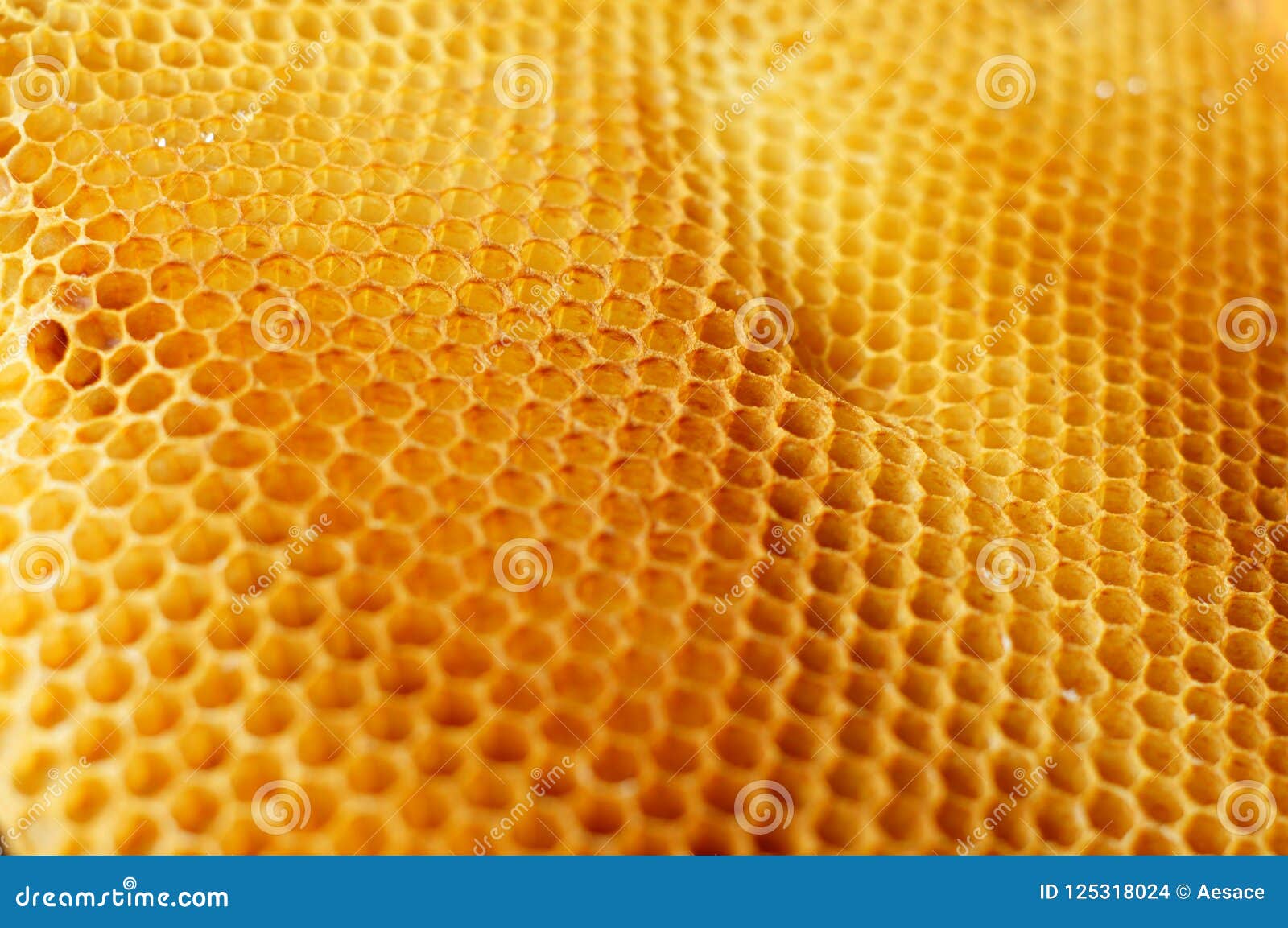 Golden Honeycomb Structure Side View Stock Photo - Image of honecomb ...