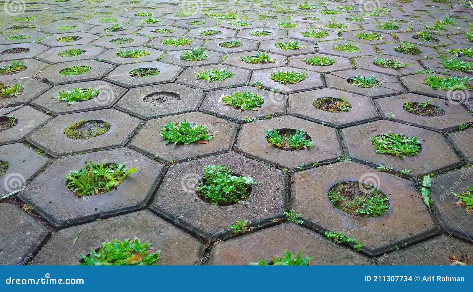 Hexagonal Paving Slabs Gray Correct Configuration Background. Structure ...