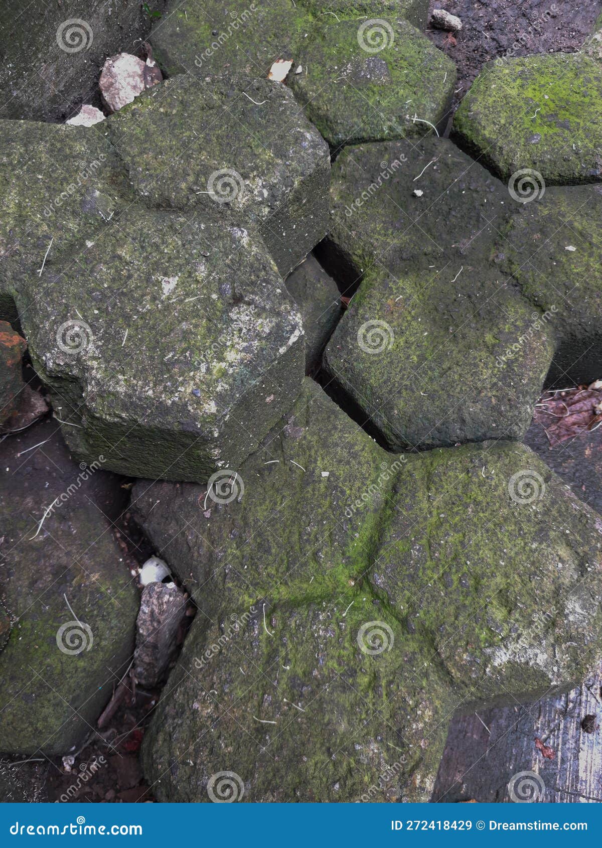 Hexagonal Paving Blocks Overgrown with Moss Stock Image - Image of ...