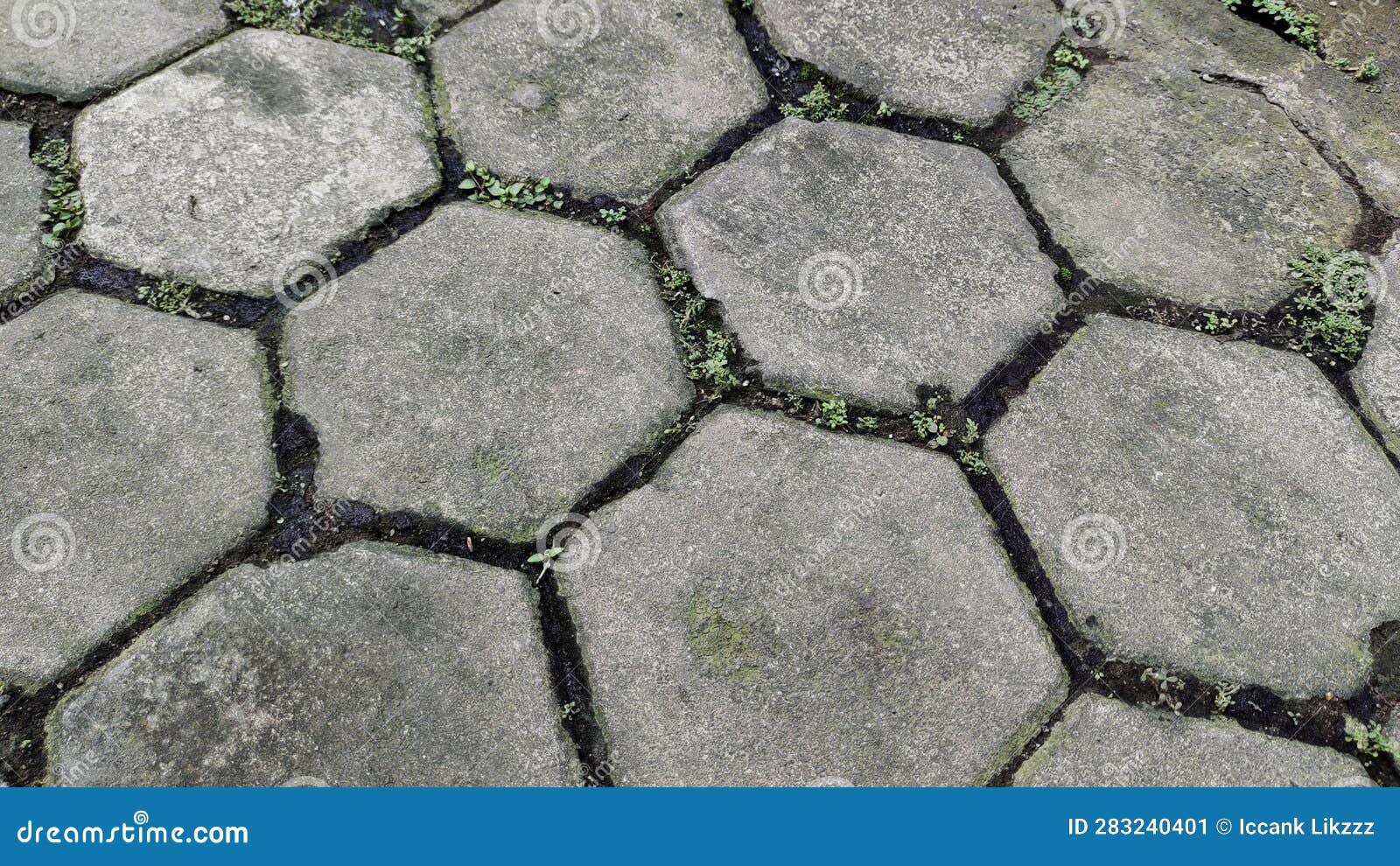 Hexagonal Paving Road that Has Been Mossy Stock Image - Image of mossy ...