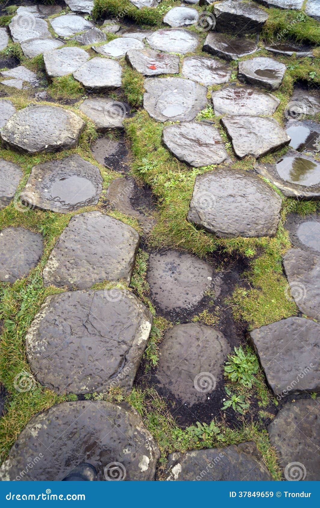 Hexagonal Rocks at Giants Causeway, Northern Ireland Stock Image ...