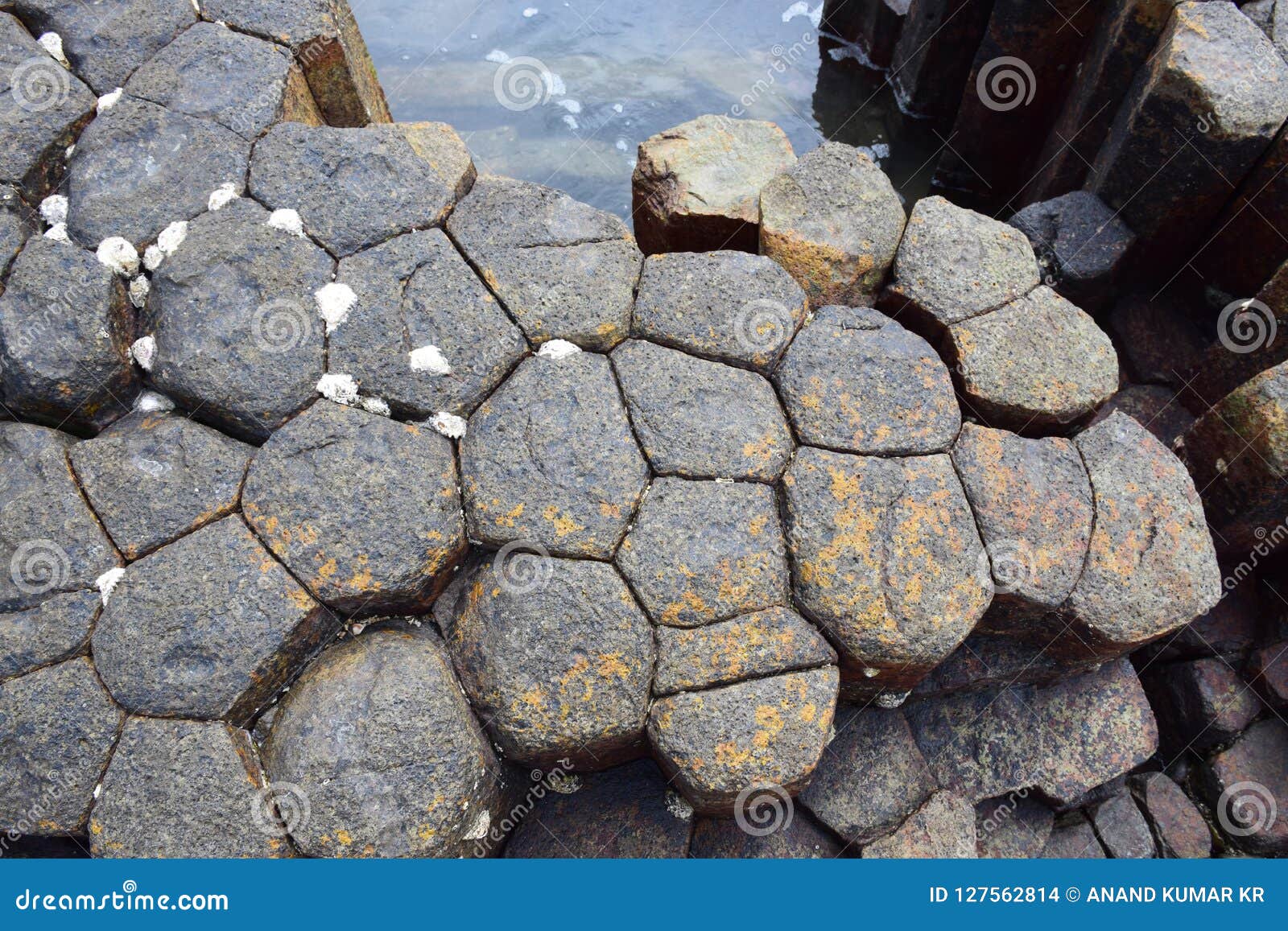 Hexagonal Pattern Rocks on Beach Stock Photo - Image of water, beach ...
