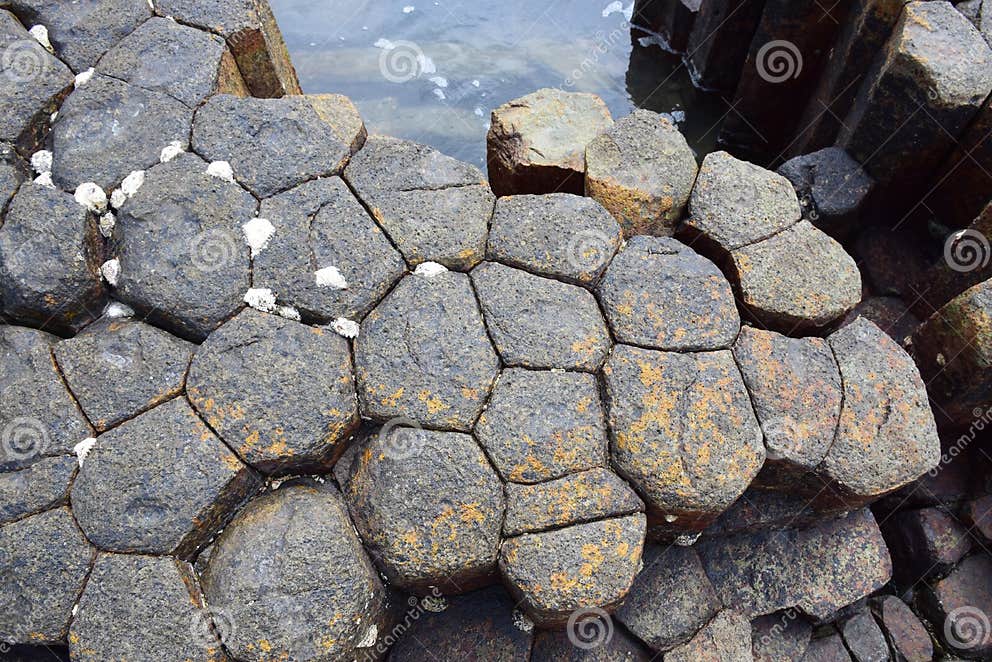 Hexagonal Pattern Rocks on Beach Stock Photo - Image of water, beach ...