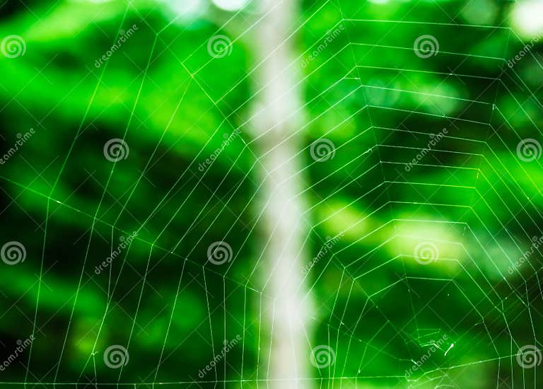 Hexagonal Spider Web stock image. Image of polygons - 115876297