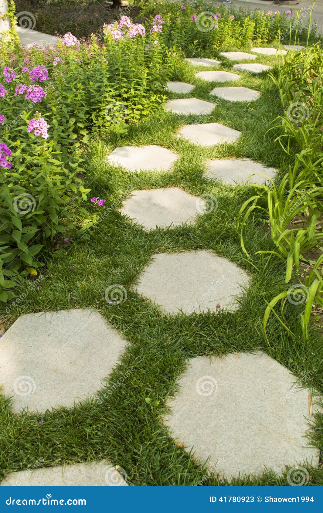Unique path in the garden stock image. Image of green - 41780923
