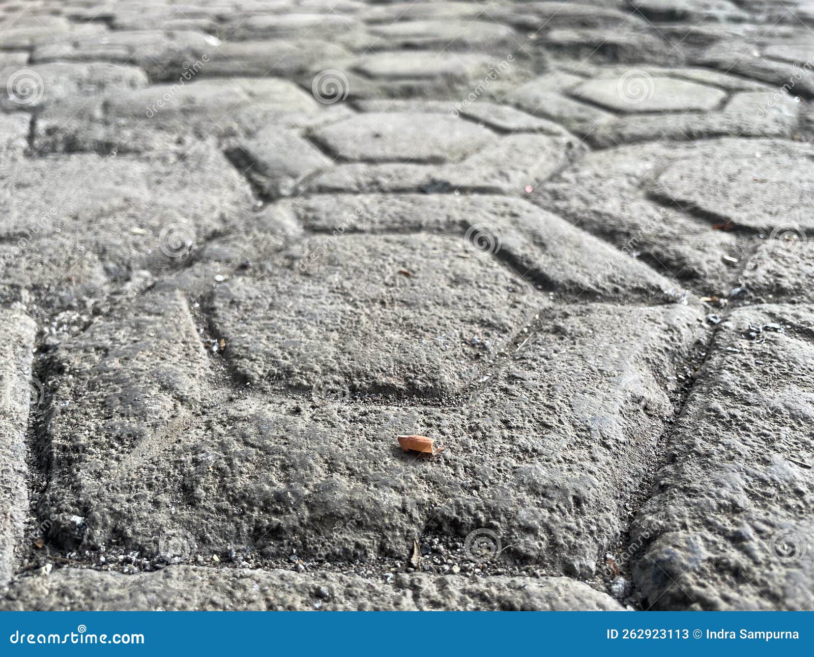 Hexagonal Stone with Peanuts Stock Image - Image of rock, stonewall: 262923113