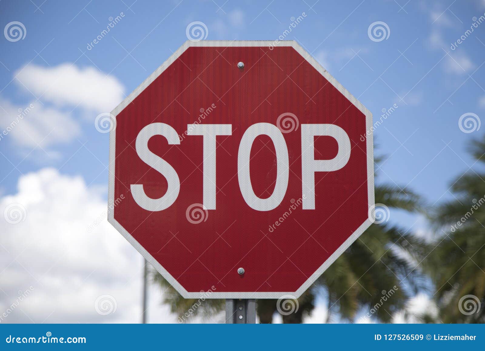 Hexagonal Stop Sign stock image. Image of roadside, freeway - 127526509