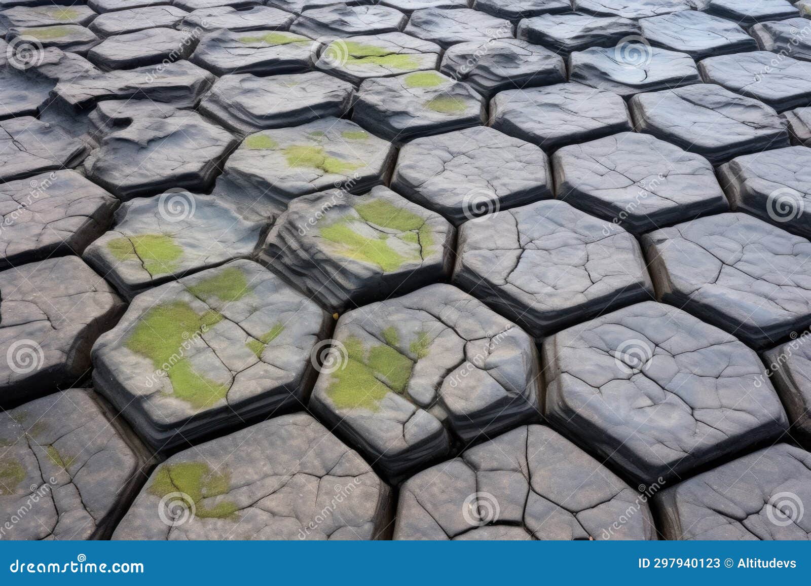 Hexagonal Tessellated Pavement Rock Surface Stock Image - Image of ...
