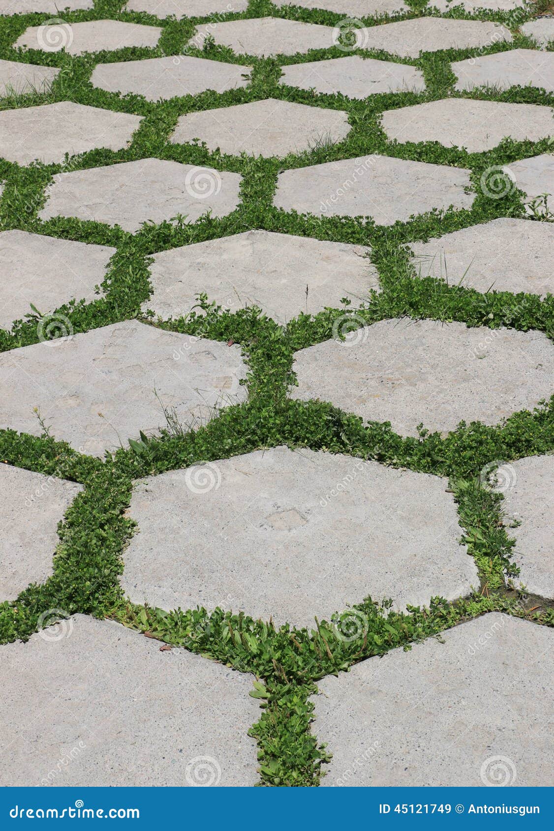 The Hexagonal Tiles Royalty-Free Stock Photo | CartoonDealer.com #27058179