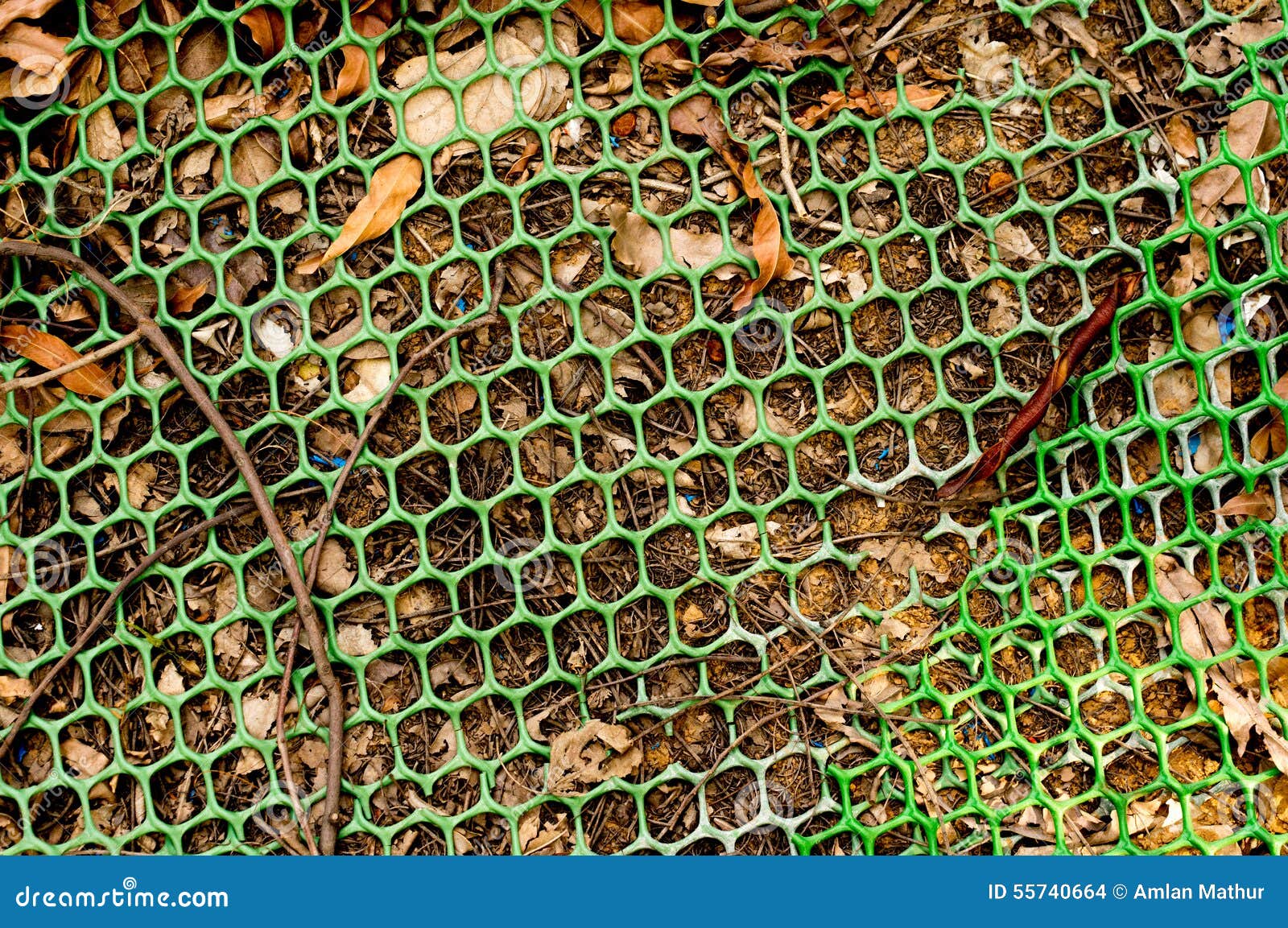 Hexagonal Wire Mesh on Dead Leaves Stock Photo - Image of stifle ...