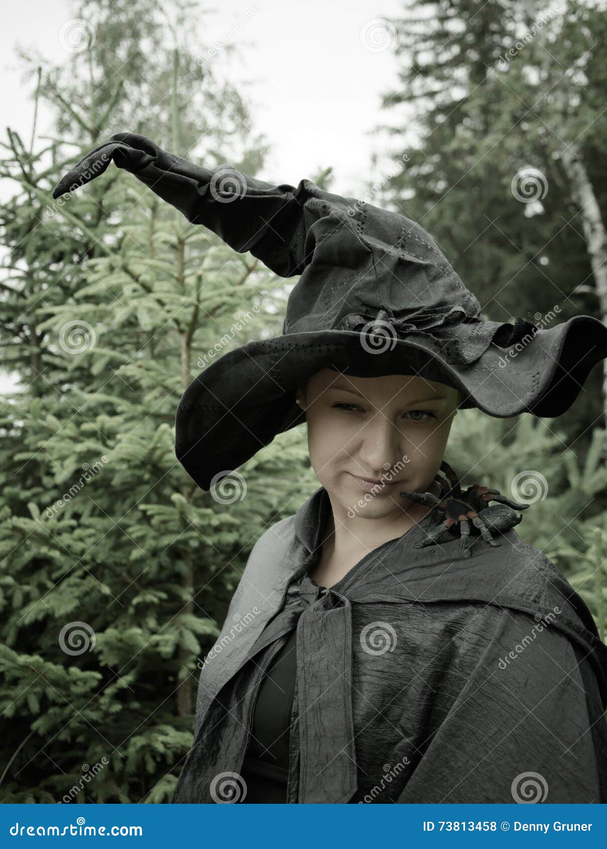 Hexe mit Spinne stockfoto. Bild von zauberin, insekt - 73813458