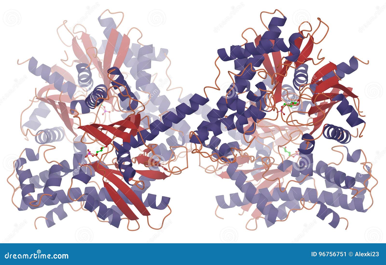Glycolysis Biochemistry Science Vector Illustration Diagram ...