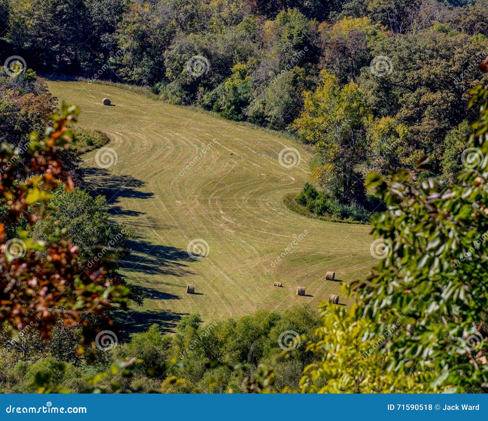 Hey Field stock photo. Image of farmland, agriculture - 71590518